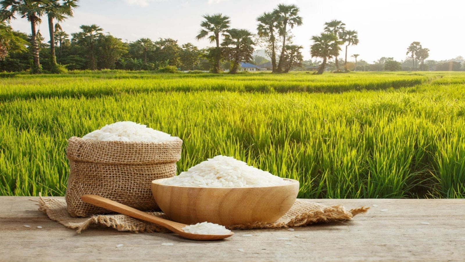 Malawi launches second national rice development strategy with support ...